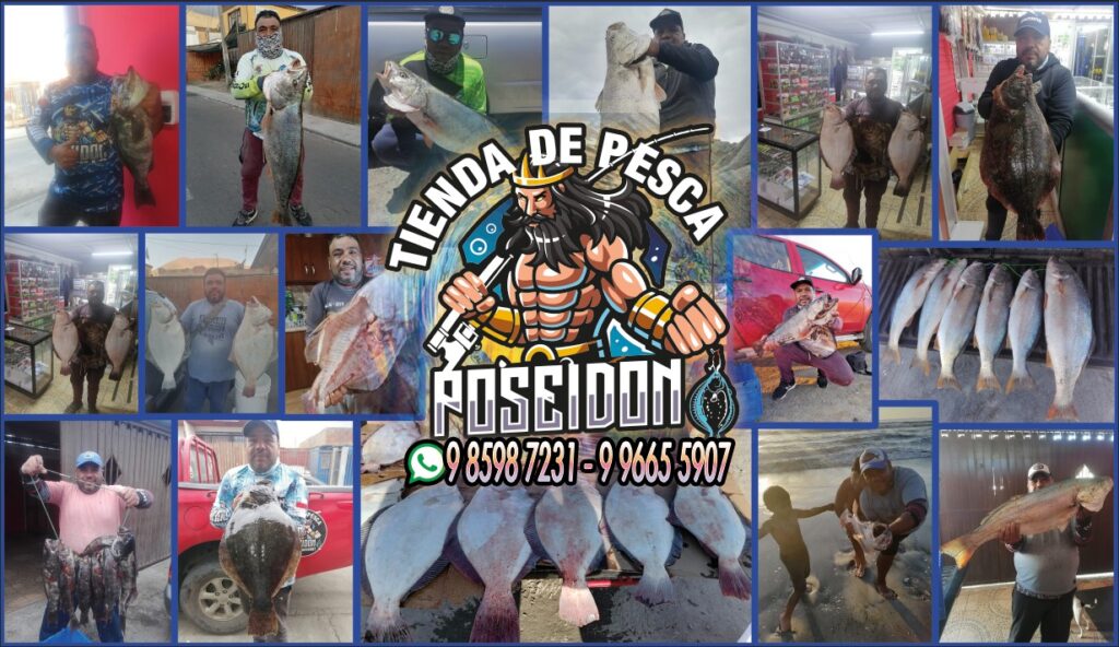 Poseidon Tocopilla - Tec Harseim